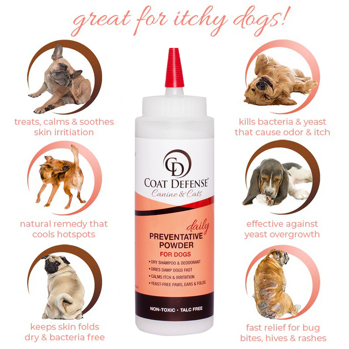 Coat Defense | Best in Show Bundle | Dog Itch Powder, Paste & Shampoo