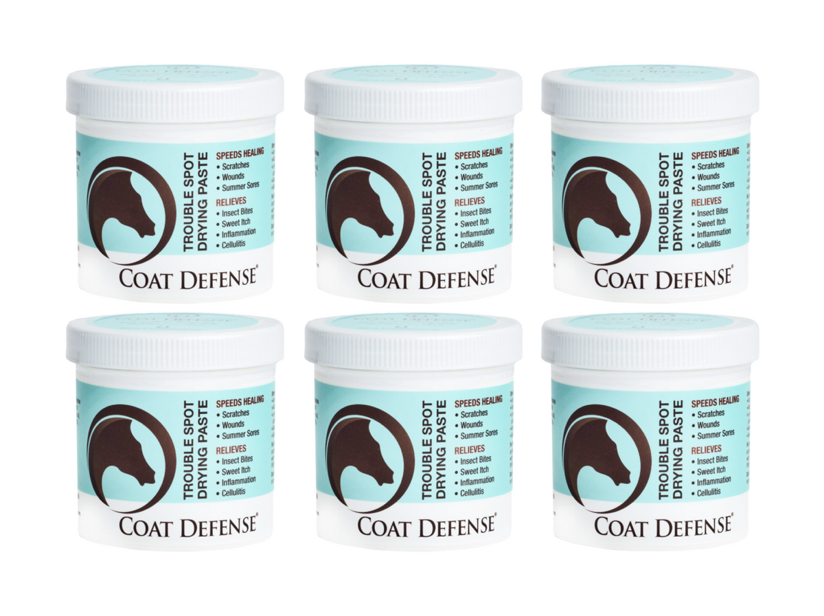 Coat Defense | Trouble Spot Horse Paste | Pro 6PK | Heal & Protect!