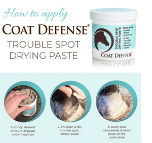 Coat Defense | Heal & Prevent Horse Bundle | 24oz Paste 8oz Powder Set