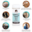 Coat Defense | Heal & Prevent Horse Bundle | 24oz Paste 8oz Powder Set