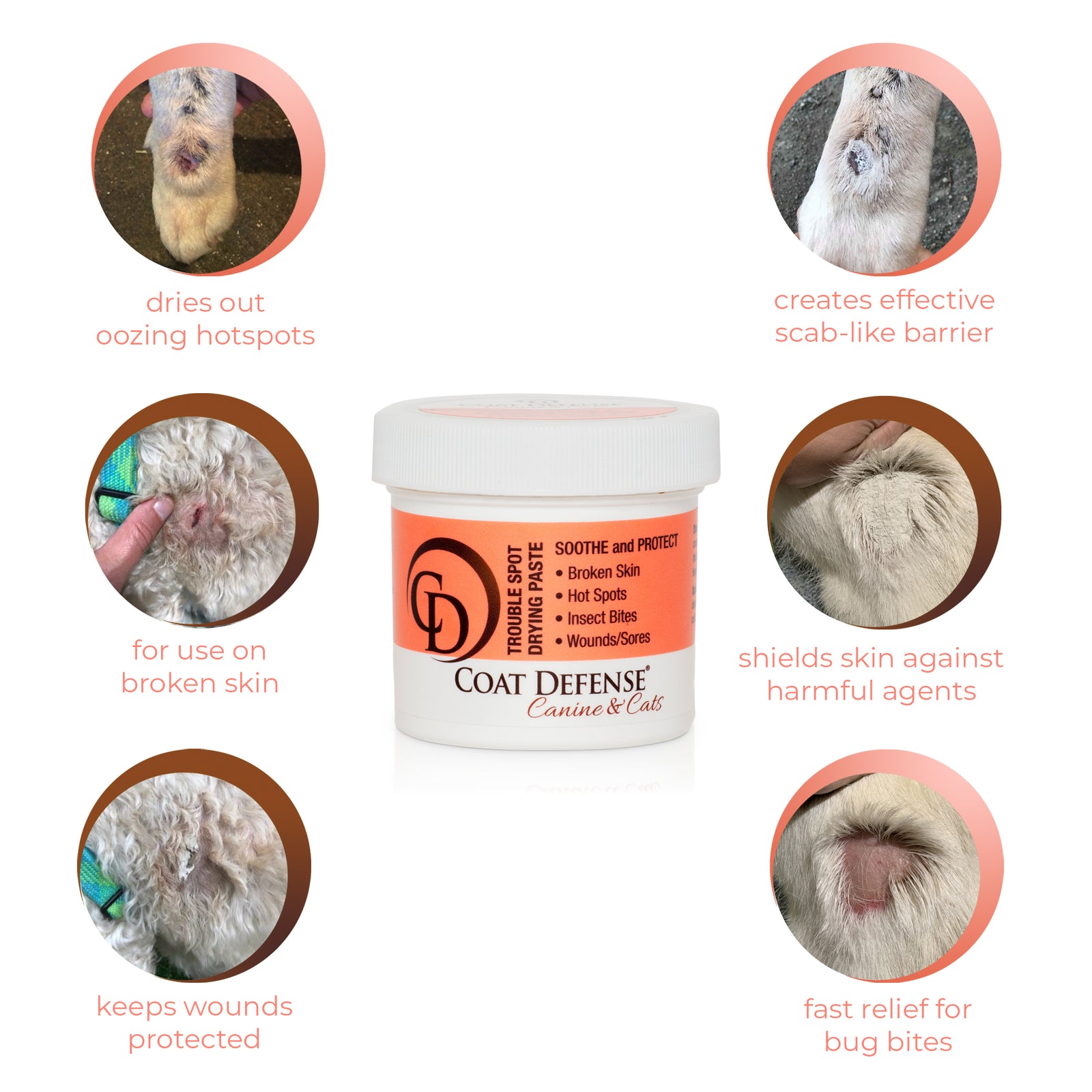 Coat Defense | Trouble Spot Paste for Dogs - 5oz | Heal & Protect!